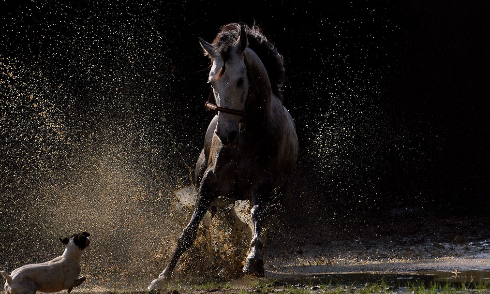 13 à cheval : L'Association de Tourisme Equestre des Bouches-du-Rhône ...